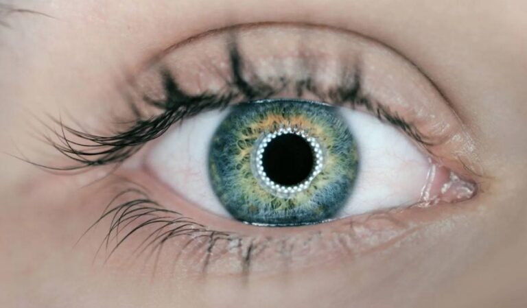 Des lentilles de contact à réalité augmentée : l’information à portée ...